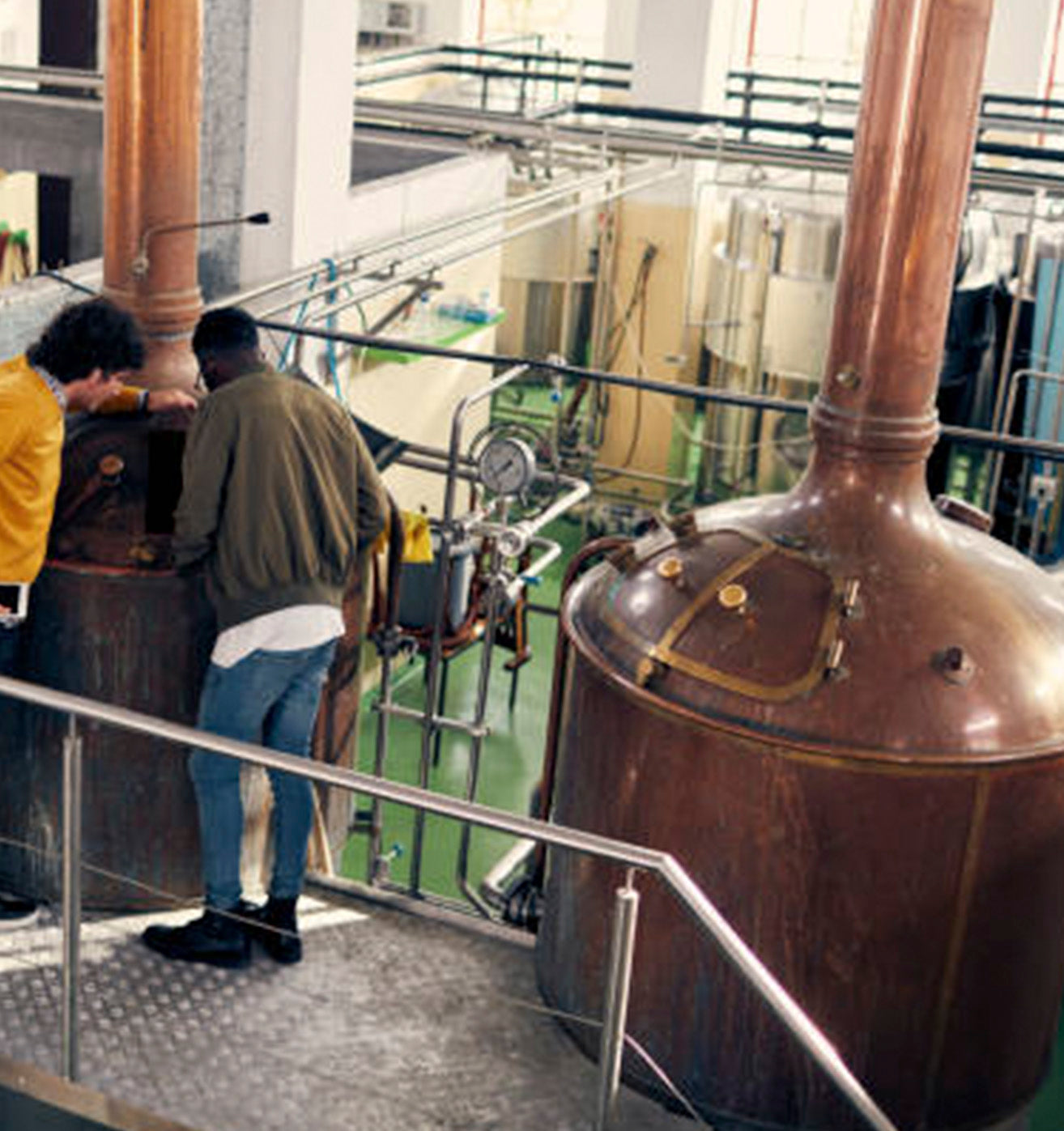 Building Out a Kombucha Brewery: Startup Facility Guide