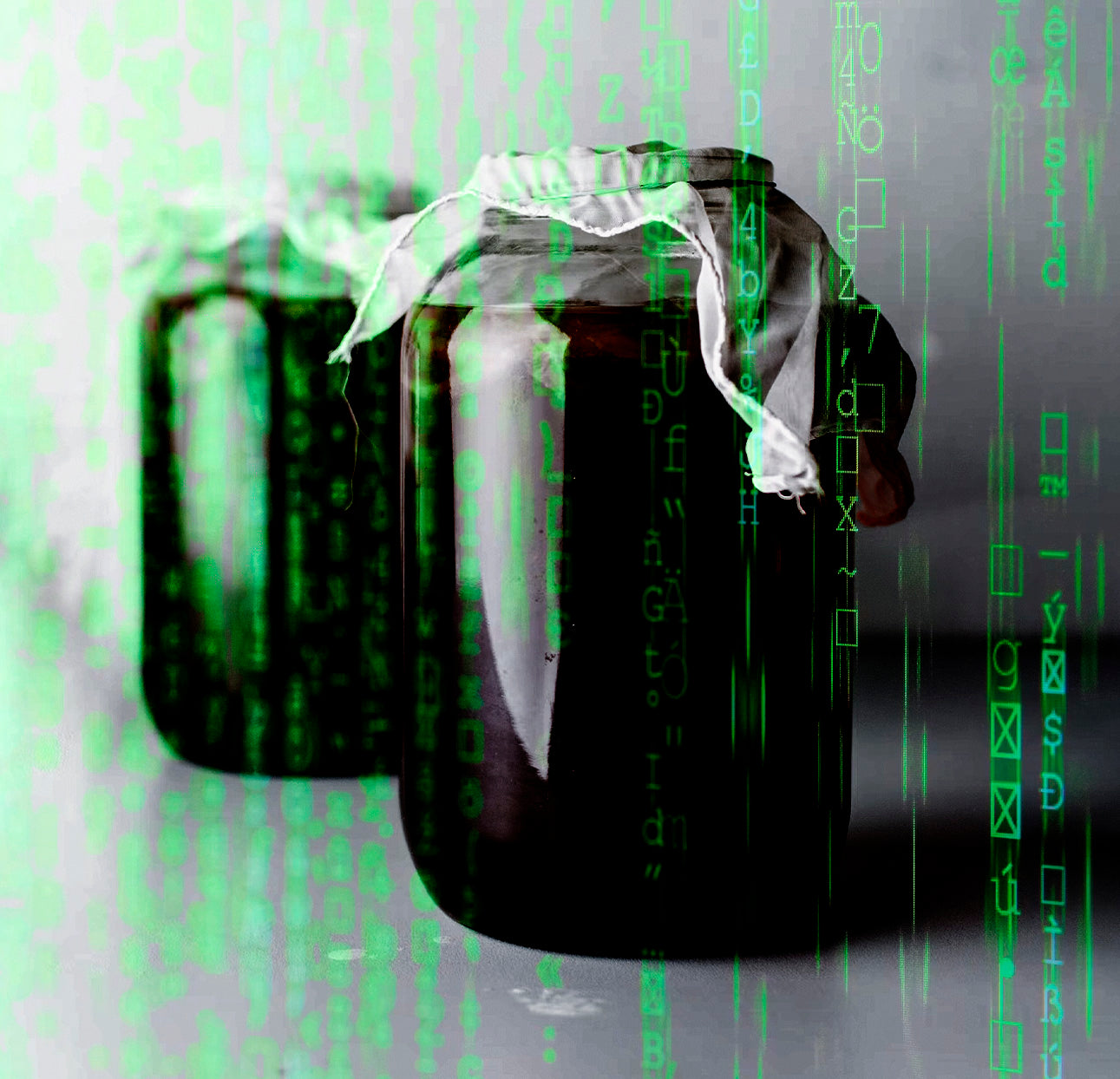 The Kombucha Underworld: GT Dave, Hannah Crum, and KBI's Secrets – Raw ...